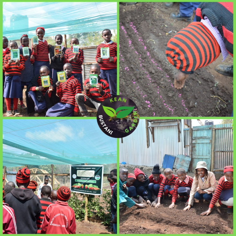 KEAN BUSTANI GARDENS – KEAN NETWORK